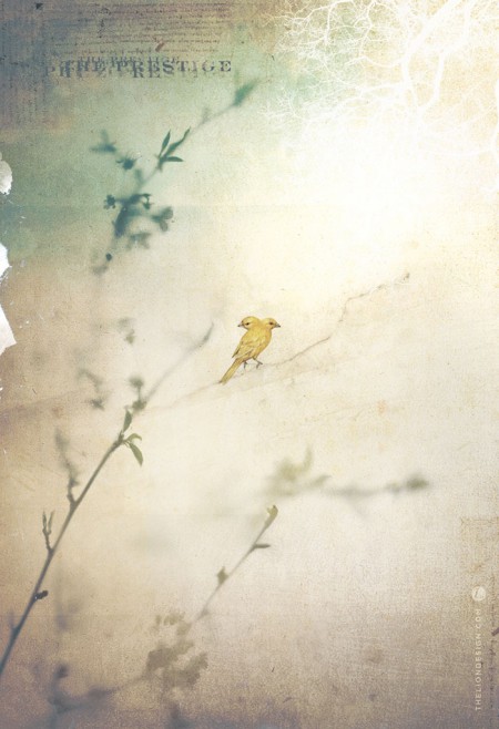 Heatherly, Jason (aka Lion Dsgn) Archives - Home of the Alternative ...